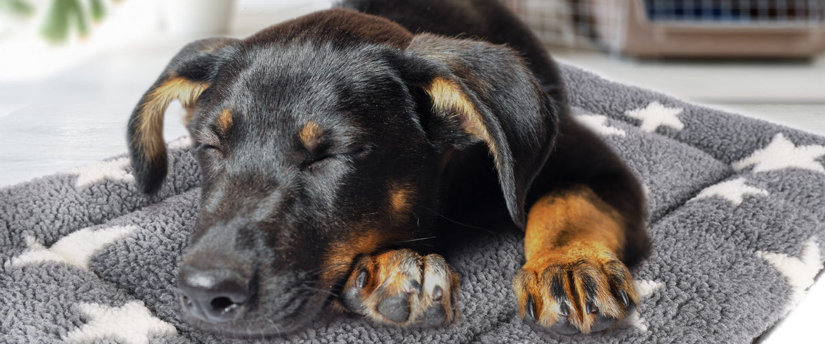 Crate Mats – Petlife International