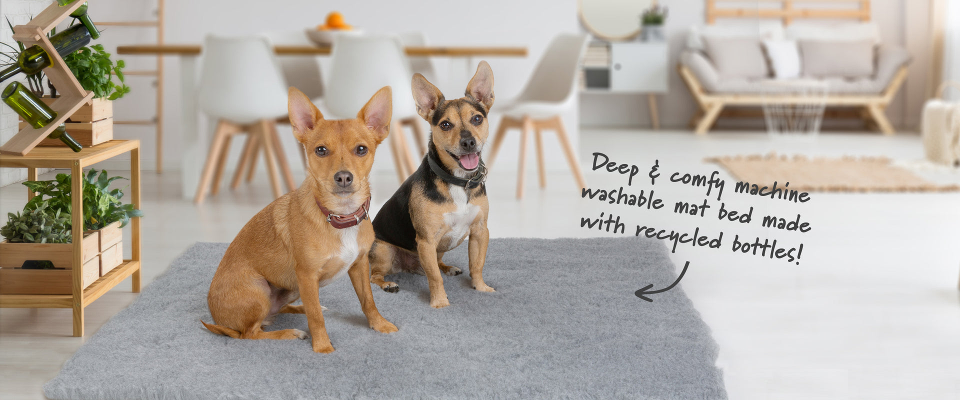 Authentic Vetbed - All – Petlife International