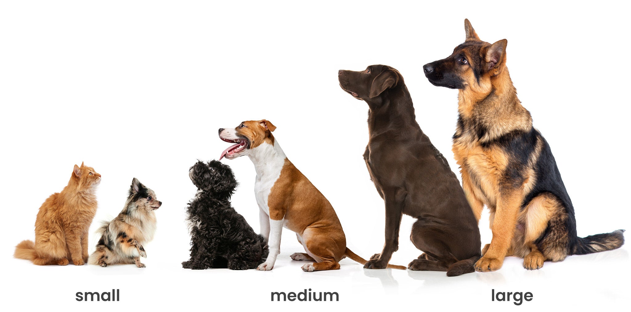 Vetbed British Wool Blend (Non-Slip) – Petlife International